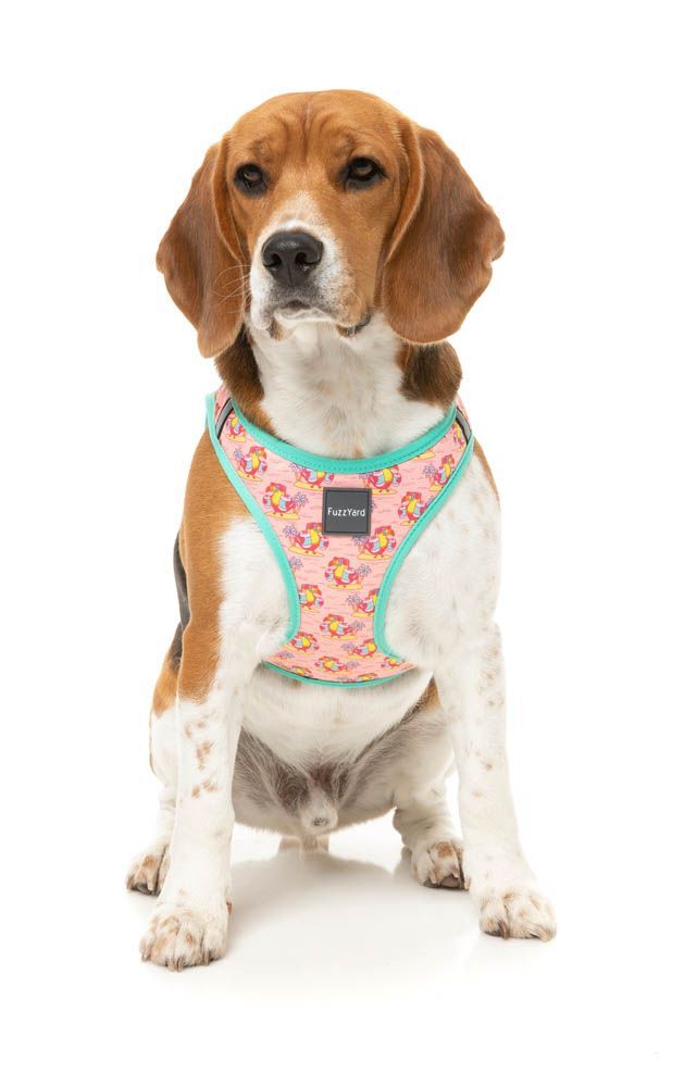 FuzzYard Two-Cans Step-In Dog Harness