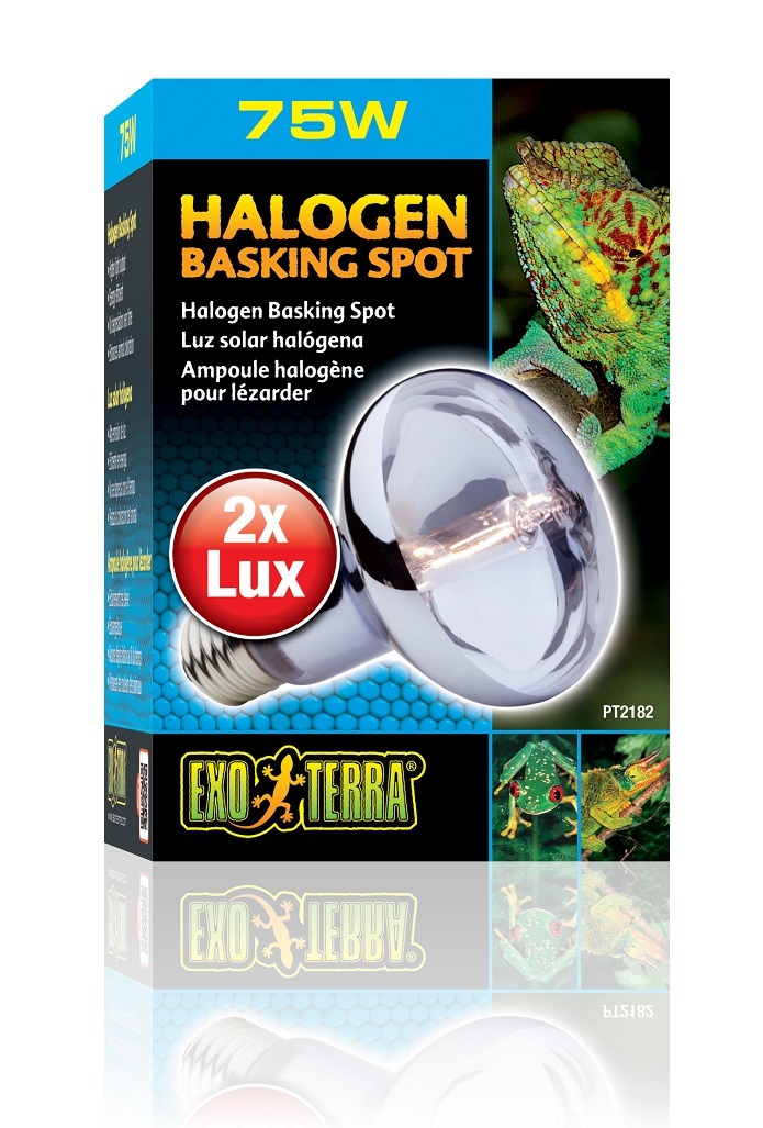Exo Terra Halogen Basking Spot Lamp for Reptiles - 75 Watt