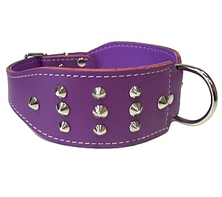 Studded Staffy Dog Collar - 50cm (Purple)
