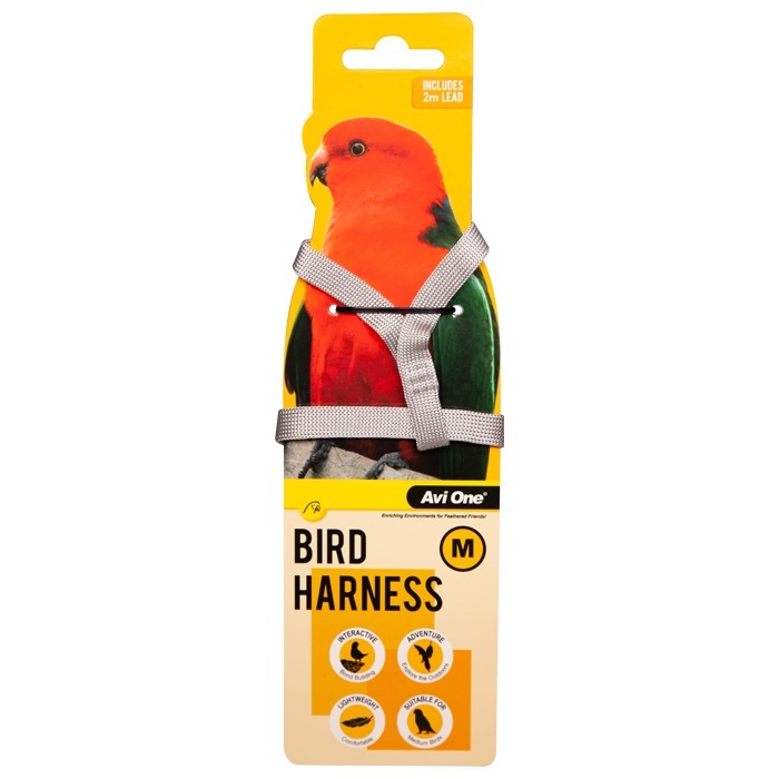 Avi One Bird Harness with Lead - Medium (Australian King Parrot, Amazon ...