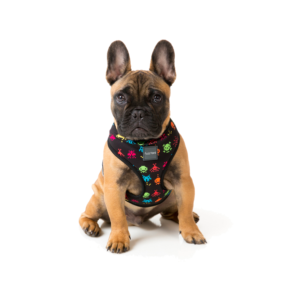 FuzzYard Dog Harness - Space Raiders - Medium (32cm Neck - 38-55cm Chest)
