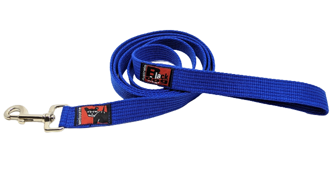 Black Dog Plain Dog Lead - Regular 1.8 Metre - Blue for Walking and ...
